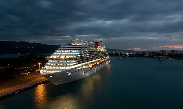 Hantavirus, COVID, norovirus, Legionnaires': why are cruise ships so ...