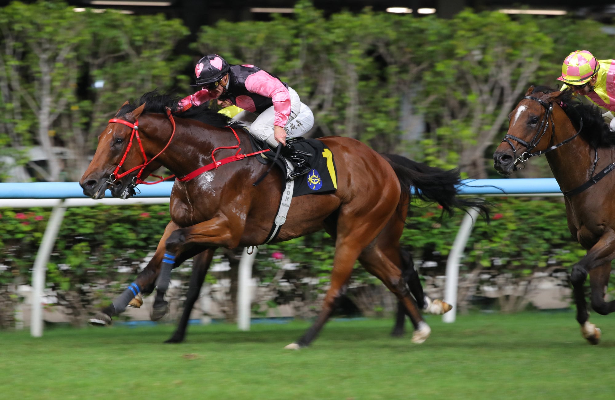 In-form duo of Karis Teetan and John Size combine with Beauty Alliance ...