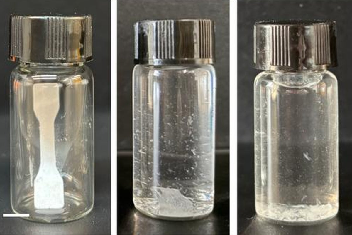 Chinese scientists create self-destructing 'living plastic'