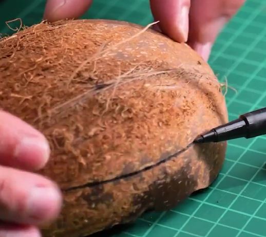 Creando melodías únicas con una cáscara de coco