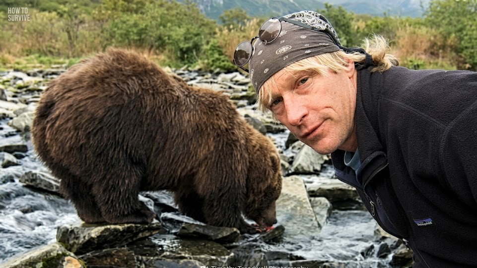 Der Grizzly fraß ihn vor dem Zelt - während die Kamera noch lief