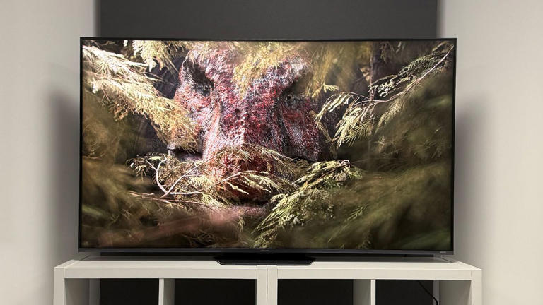 OLED remains the top choice for high-end TVs despite RGB mini LED ...
