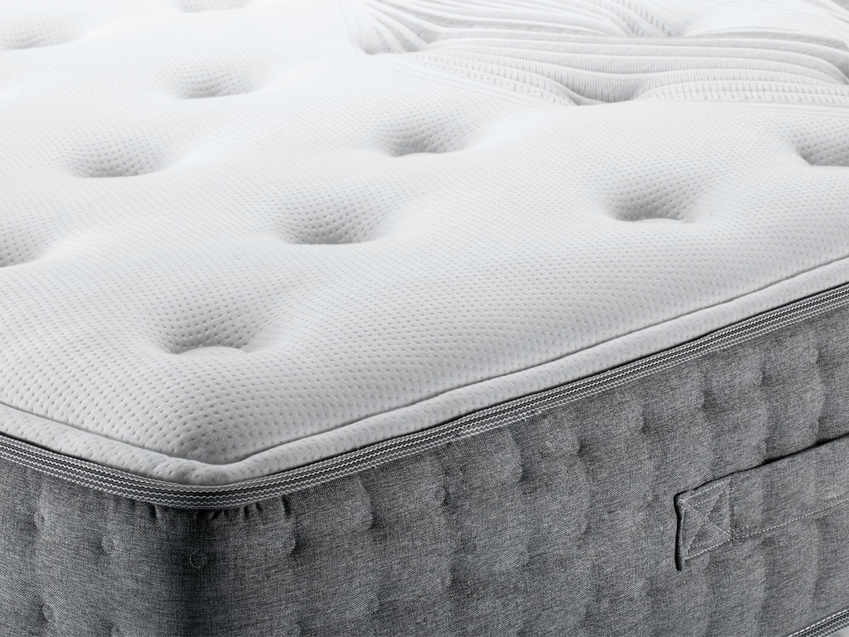 Bed bugs explained in 5 photos (what to look for before it’s too late)