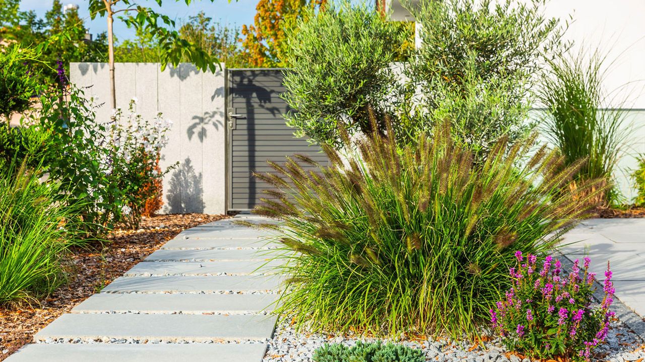 The 10-minute backyard: Design rules that keep maintenance to a bare ...