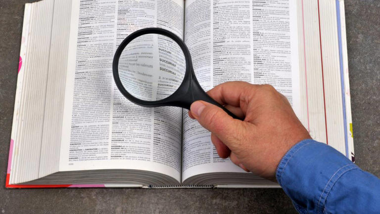 Les nouvelles éditions sont là : Quoi de neuf dans les dictionnaires ...