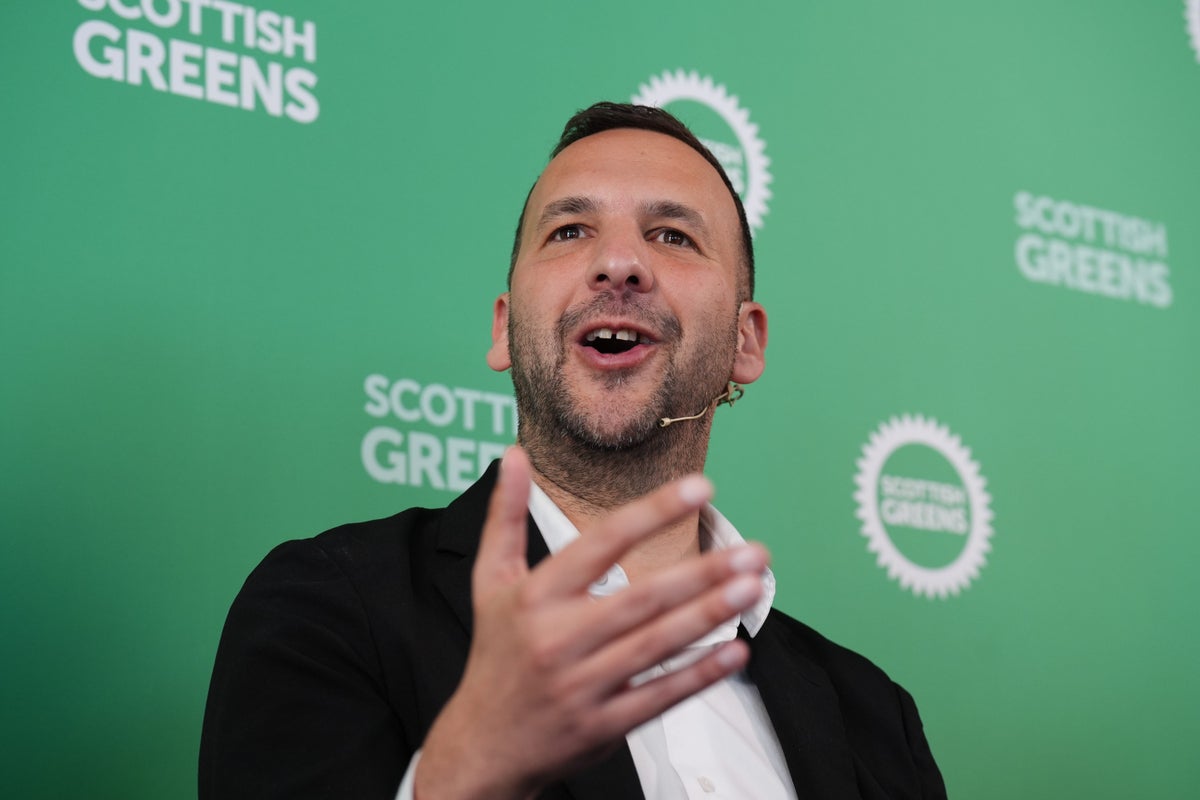 Green Party leader says he did not vote in local elections