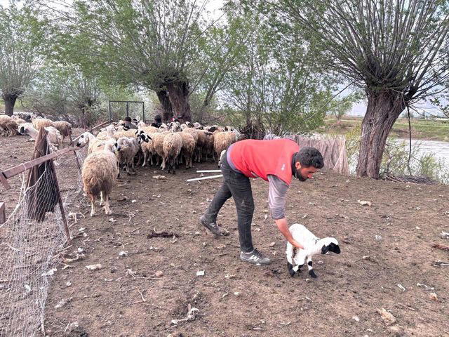 150 bin isteniyordu, asgari ücretle göreve başladılar