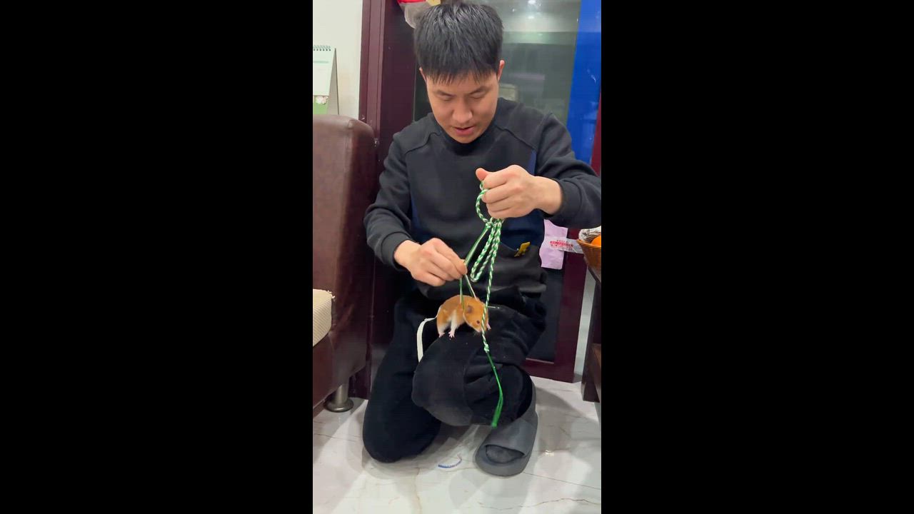 China: Baasje in China gebruikt de ene hamster om een andere onder de ...