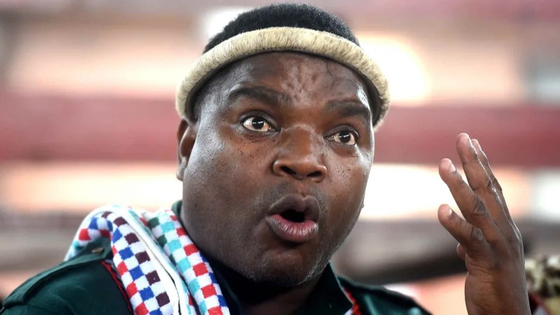 Ngizwe Mchunu brands Buthelezi 'unfaithful', escalates war of words ...