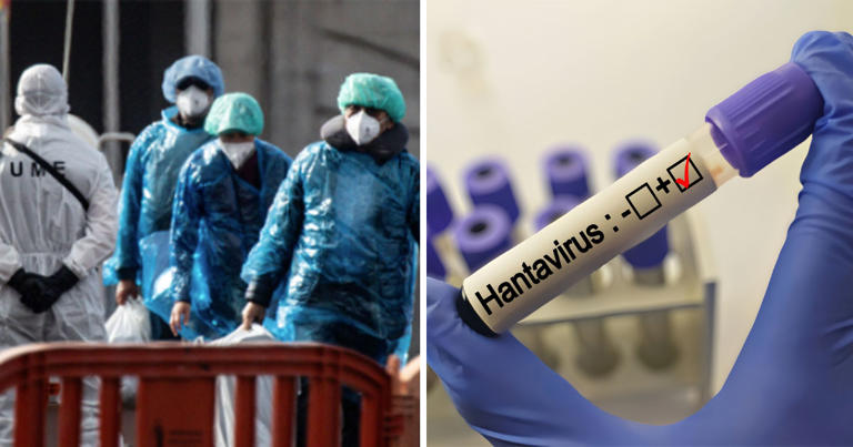 CDC issues new health alert – reveals whether hantavirus could become a ...