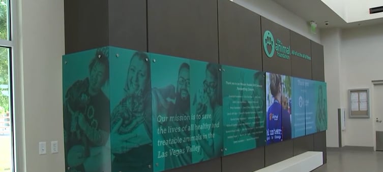 Animal Foundation overhauls adoption system with QR code technology
