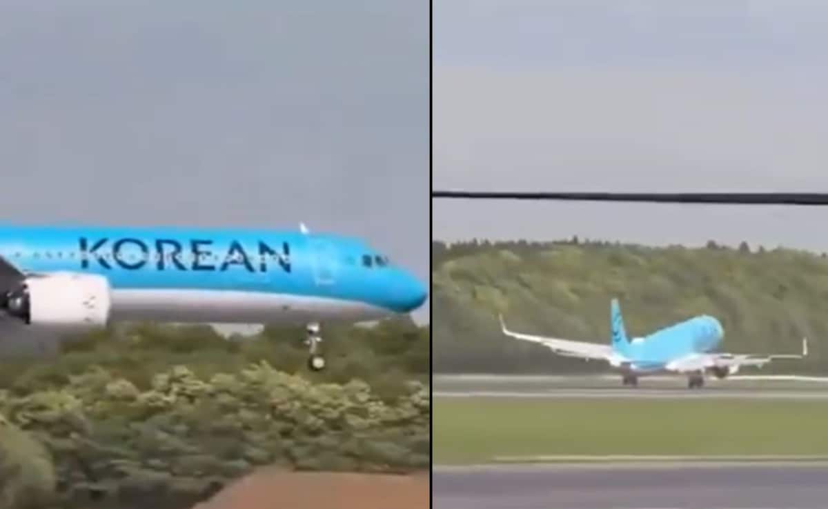 Korean Air flight wobbles and aborts landing at Tokyo airport amid ...