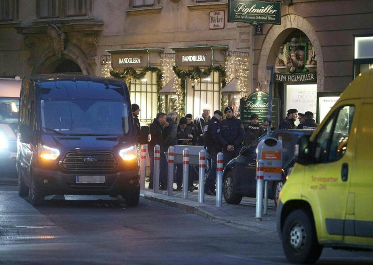 Wiener Mafia-Mord: Killer nach 7 Jahren gefasst