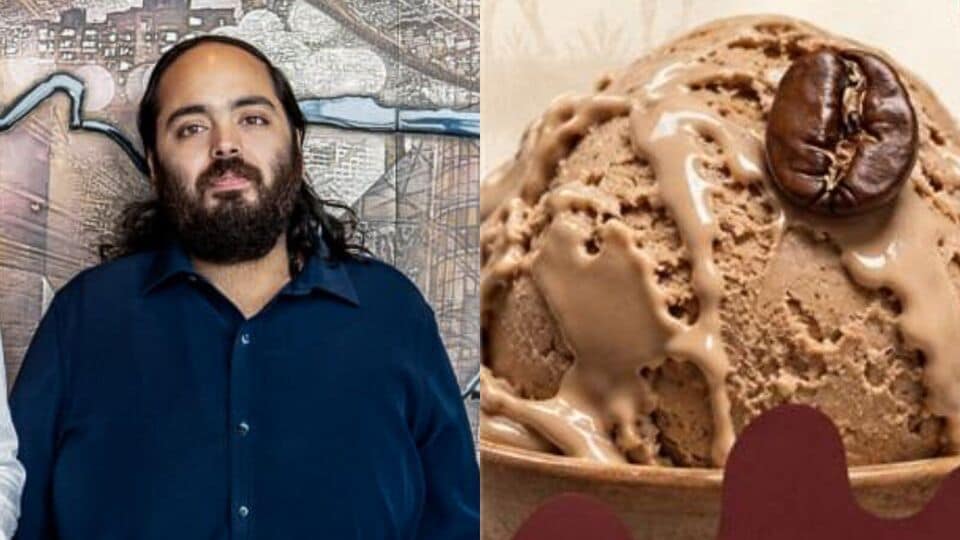 Filter coffee, kesar peda, malai kulfi: Anant Ambani's Vantara launches ...