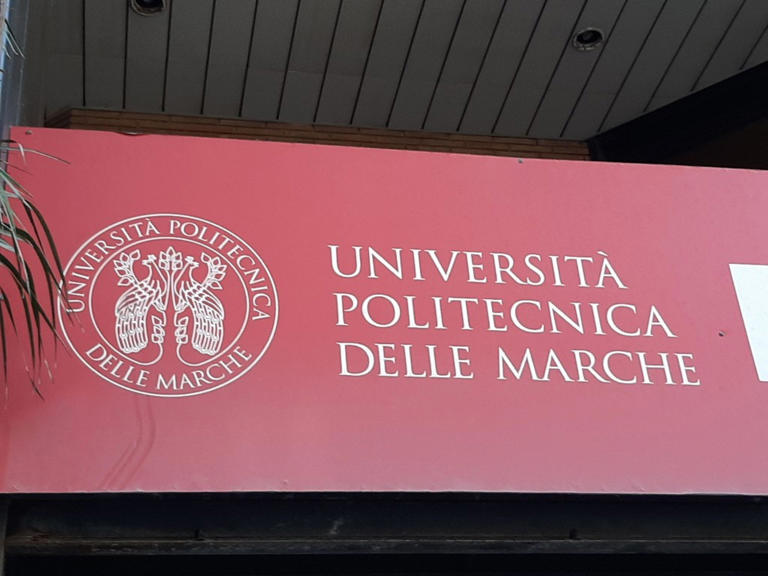 Due studentesse da Gaza ad Ancona per frequentare corsi di laurea della ...