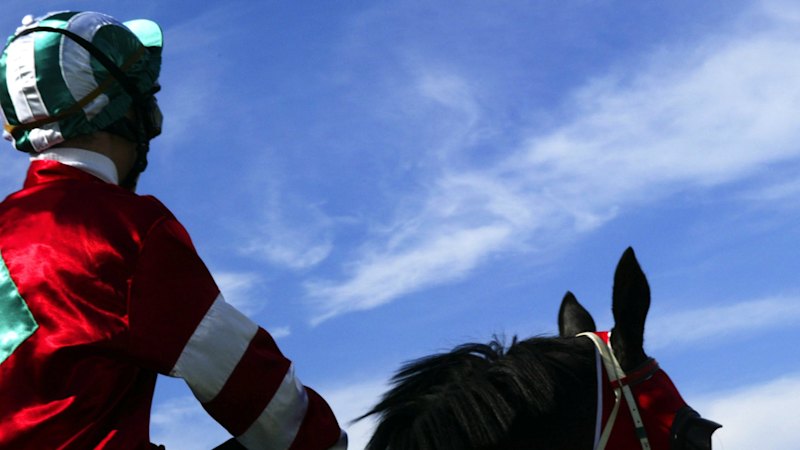 Race-by-race tips and previews for Kensington on Wednesday