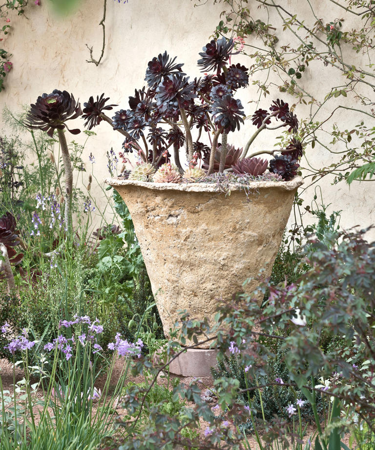 The 10-minute backyard: Design rules that keep maintenance to a bare ...