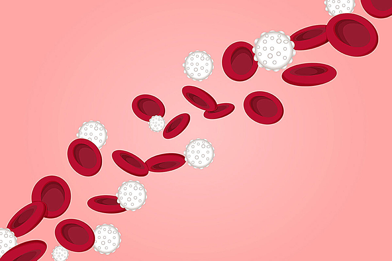 Gene-edited stem cell transplant shows promise for aggressive blood cancers