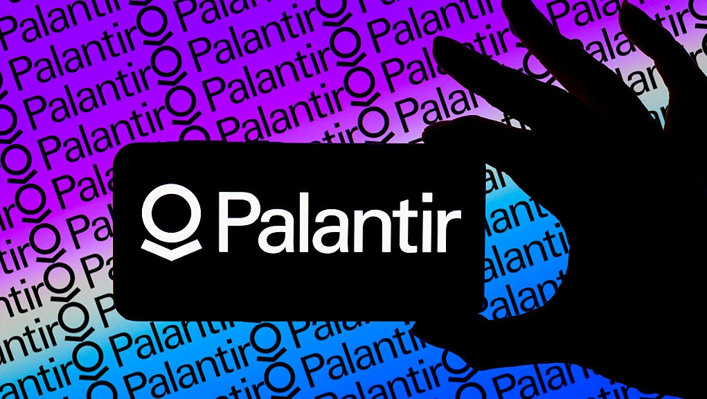 Palantir's record growth fails to lift high-priced stock