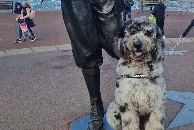 28 pictures to mark Eric Morecambe's 100th birthday show readers ...