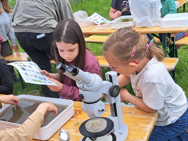 Kinder erforschen mit Kescher und Lupe das Leben im Teich