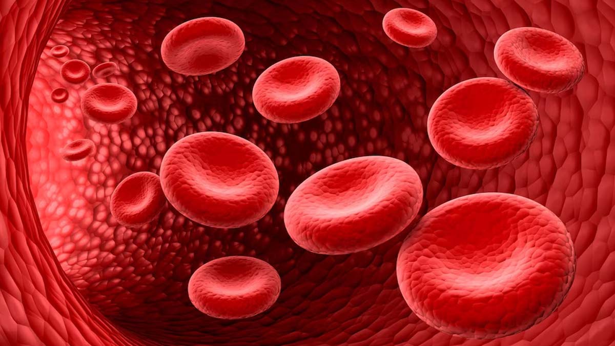 Thalassemia in pregnancy: Risks, screening, and what every couple ...