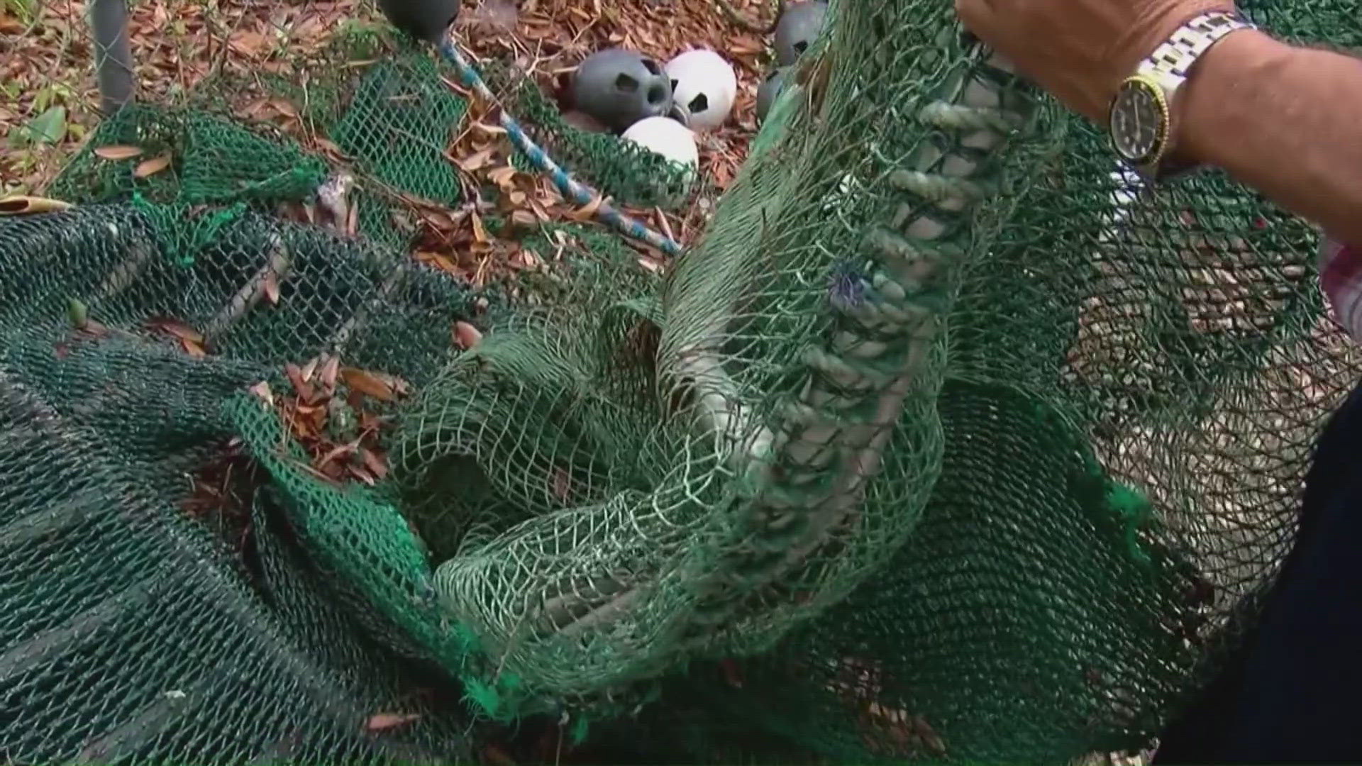 Shrimp boats docking over rising fuel costs