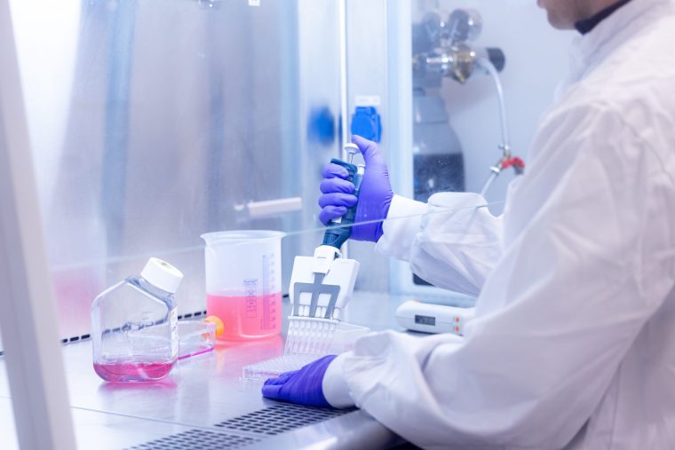 Inside the laboratory working on a hantavirus vaccine
