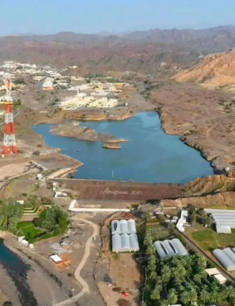 UAE teenager drowns after falling into RAK dam; father calls for strong ...
