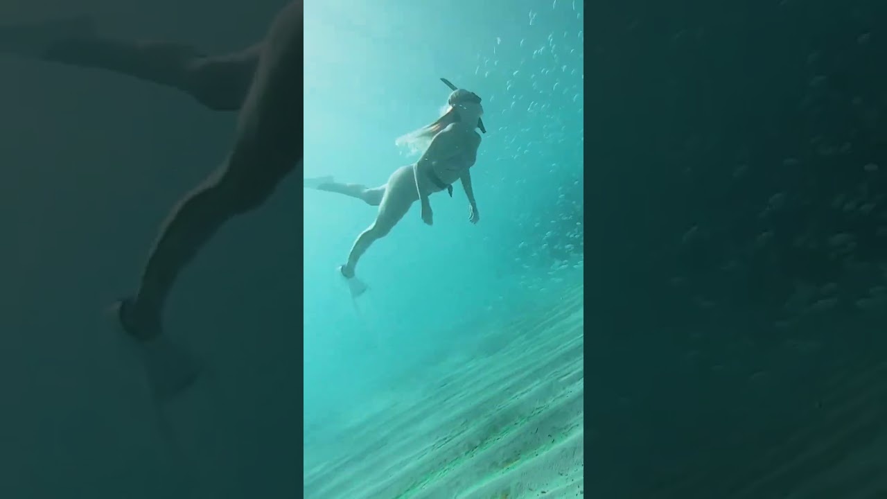 Massive ocean feeding frenzy caught on camera