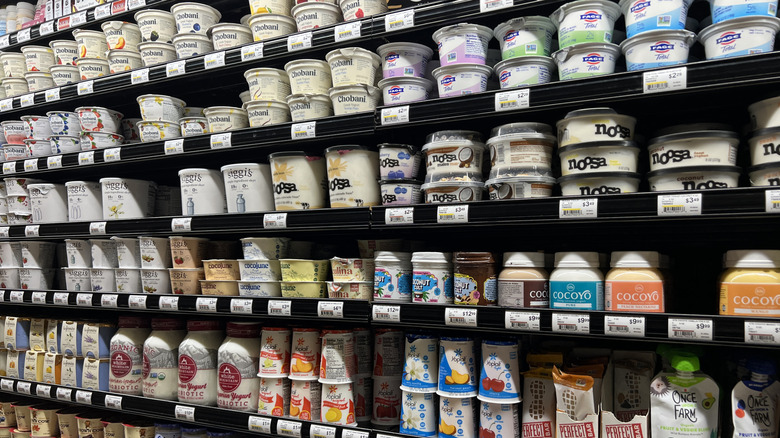 12 types of yogurt, explained