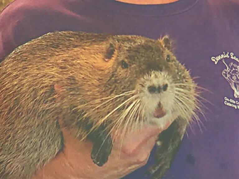 Neuty the nutria, viral pet who sparked petition, dies