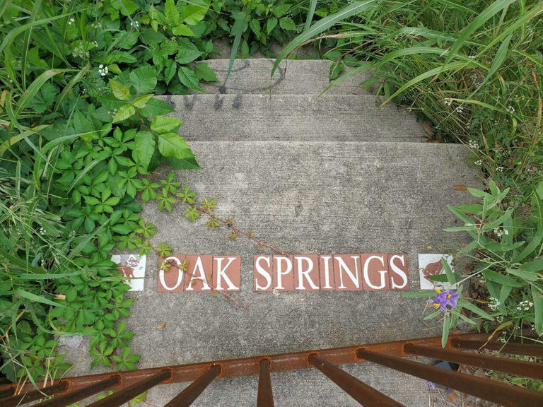 Homeless sweeps at Oak Springs ignore history and fail the present