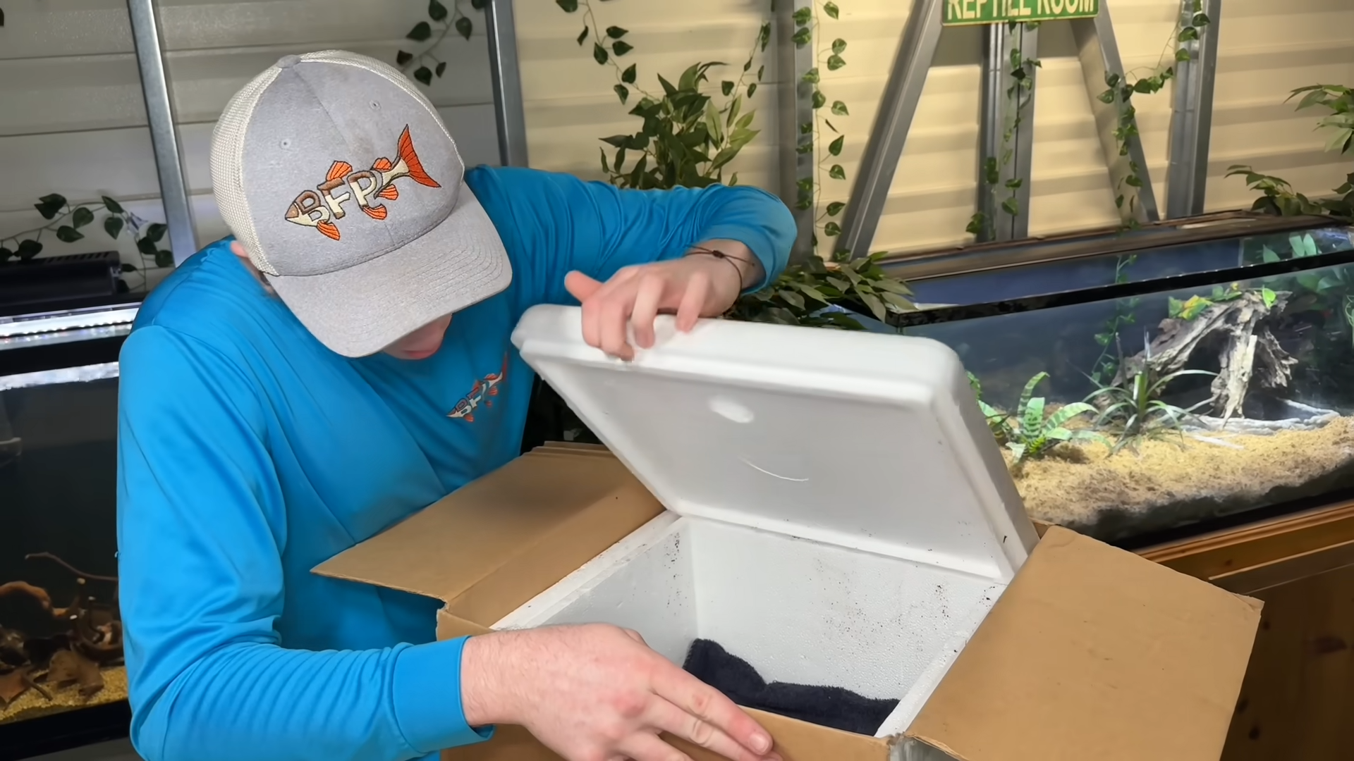 He ordered deadly animals from dark web and opened the boxes on camera
