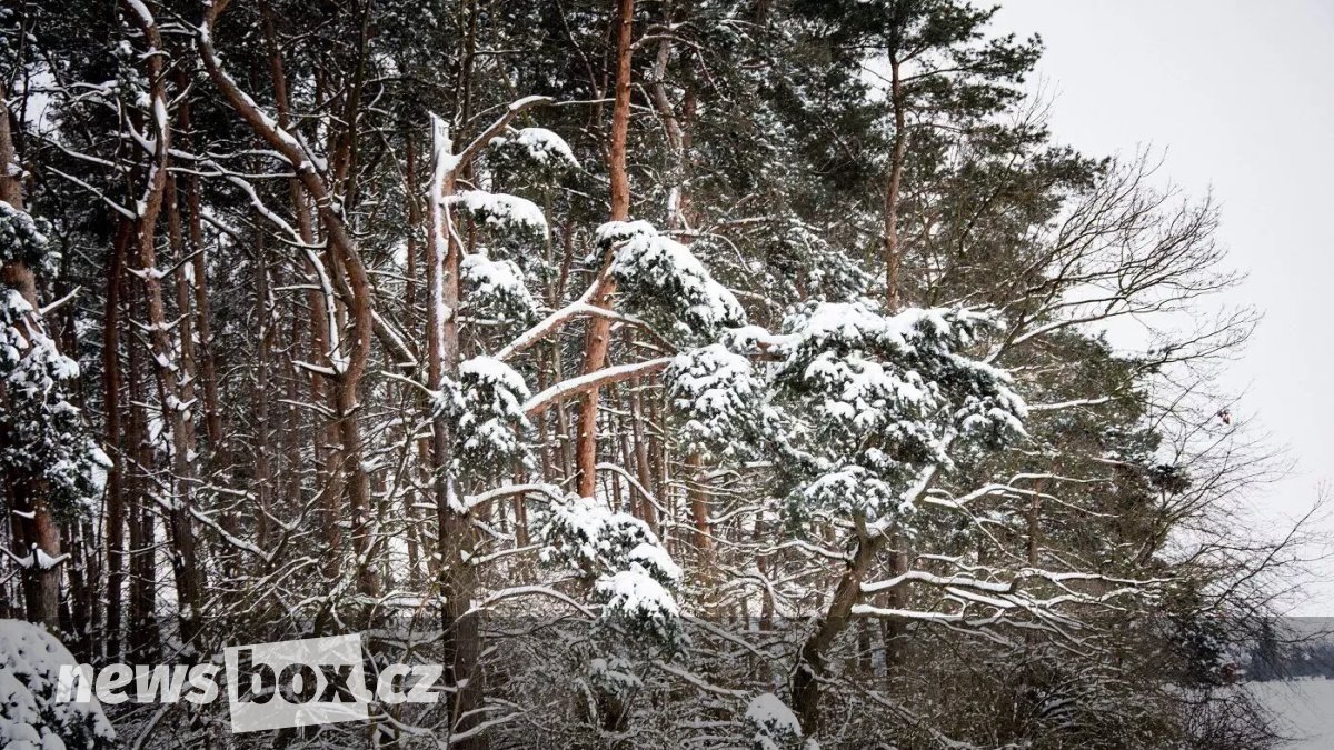 Poslední slovo této zimy. Meteorologové očekávají sněžení na horách