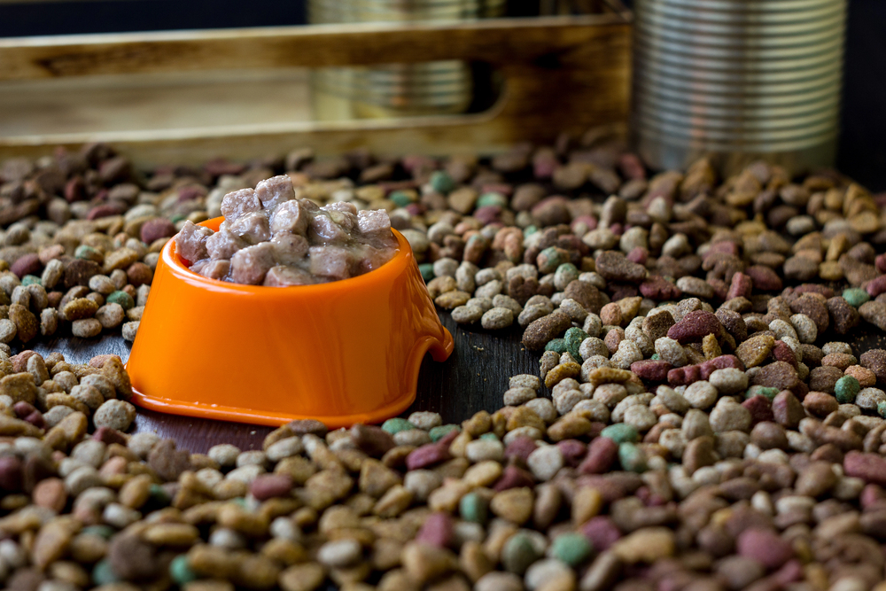 Sneaky signs your expensive pet food is terrible