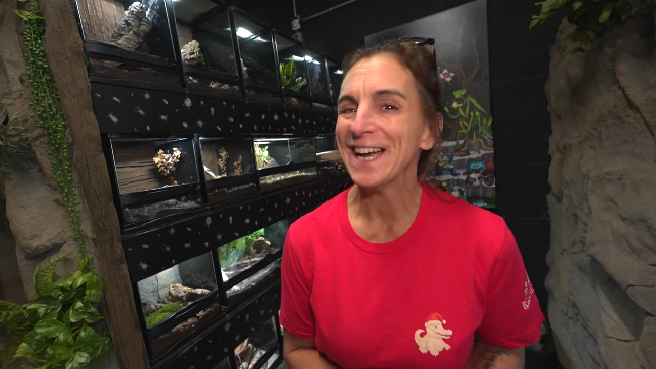 A careful interaction with a massive spider - what changes instantly