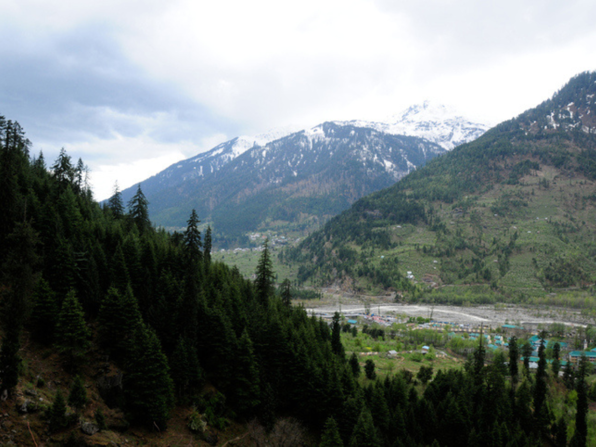 6 hill stations in India perfect for a summer escape