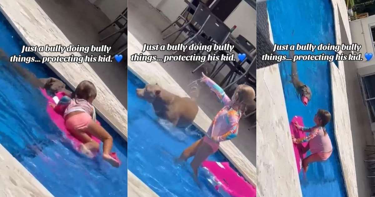 Big dog protects little girl in pool, keeps looking back to see if she ...