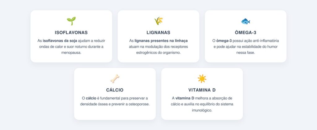 O que comer para equilibrar os hormônios femininos na menopausa ...