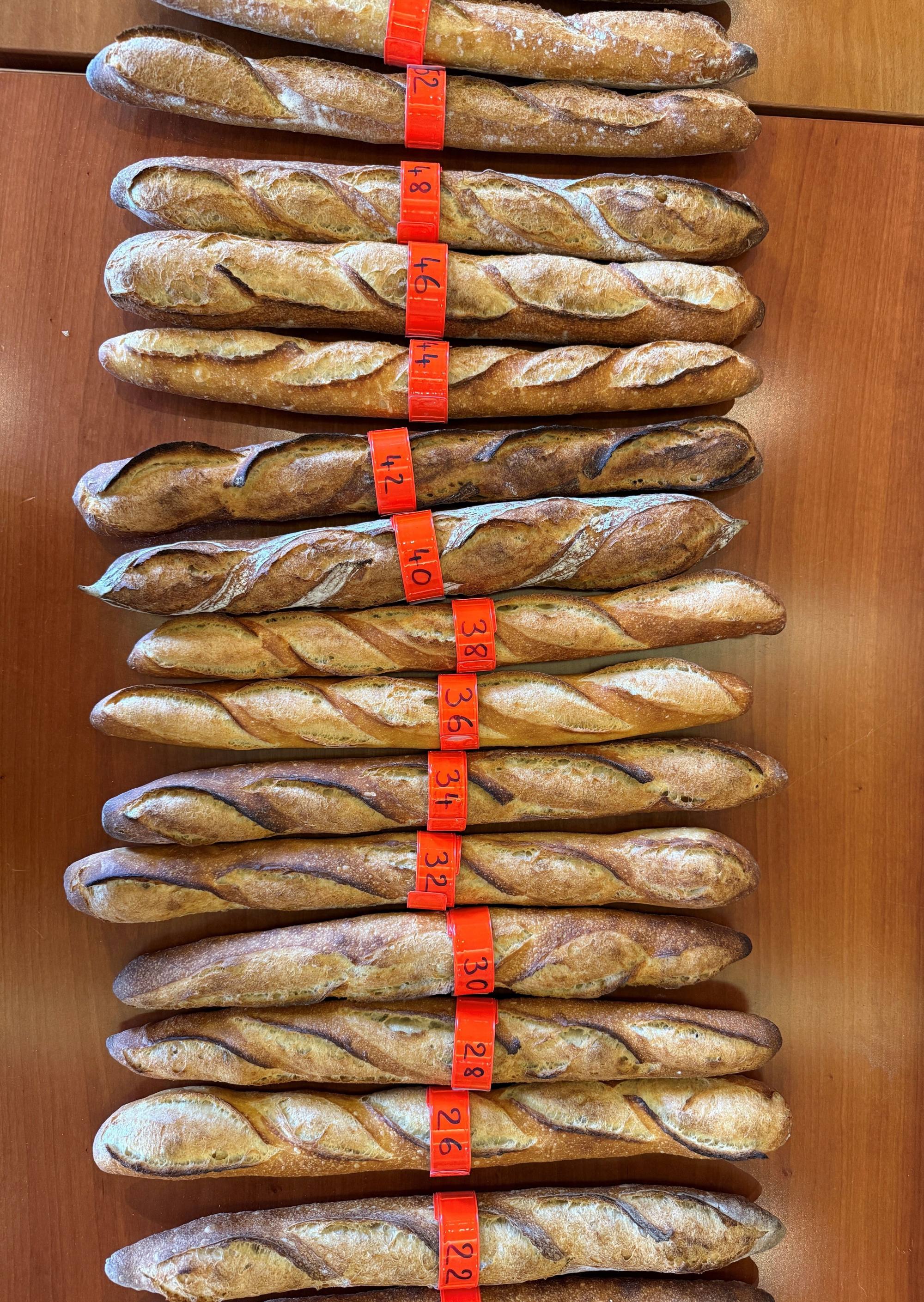 Paris crowns a new best baguette maker in prestigious bakery competition