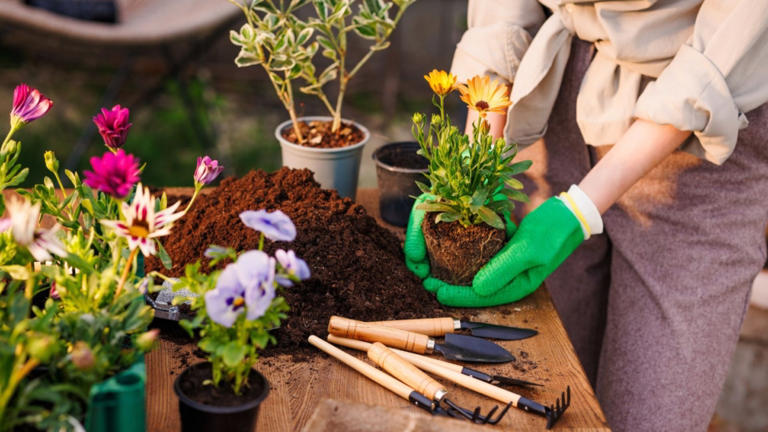 Does your gardening zone even matter?