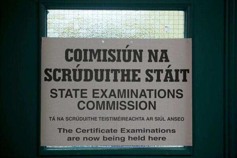 Families warned of 'leaked exam paper' scams targeting Leaving and ...