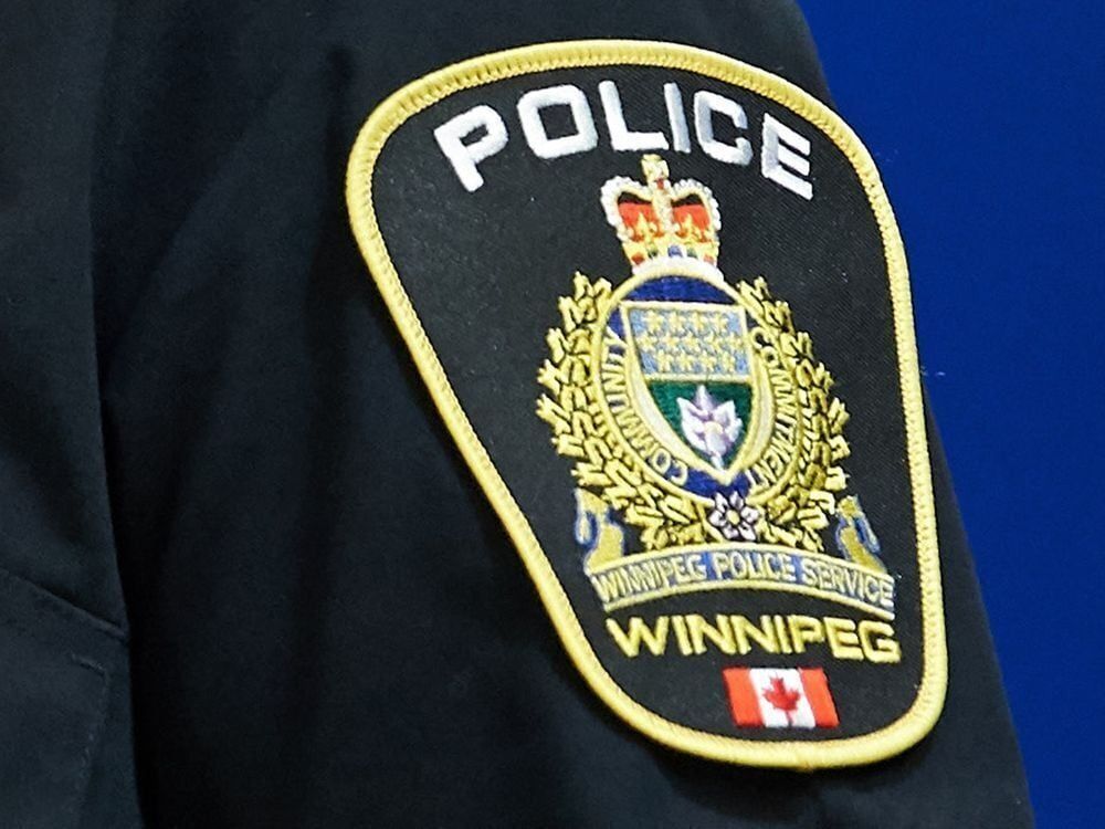 Winnipeg police seize guns after apartment shooting