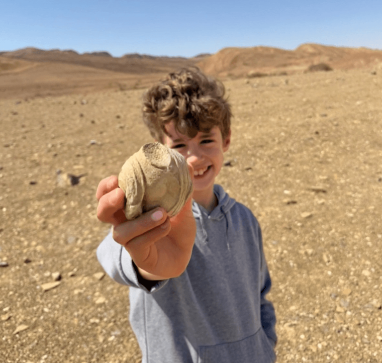 Boy, 8, discovers 1,700-year-old Roman artefact after noticing unusual ...