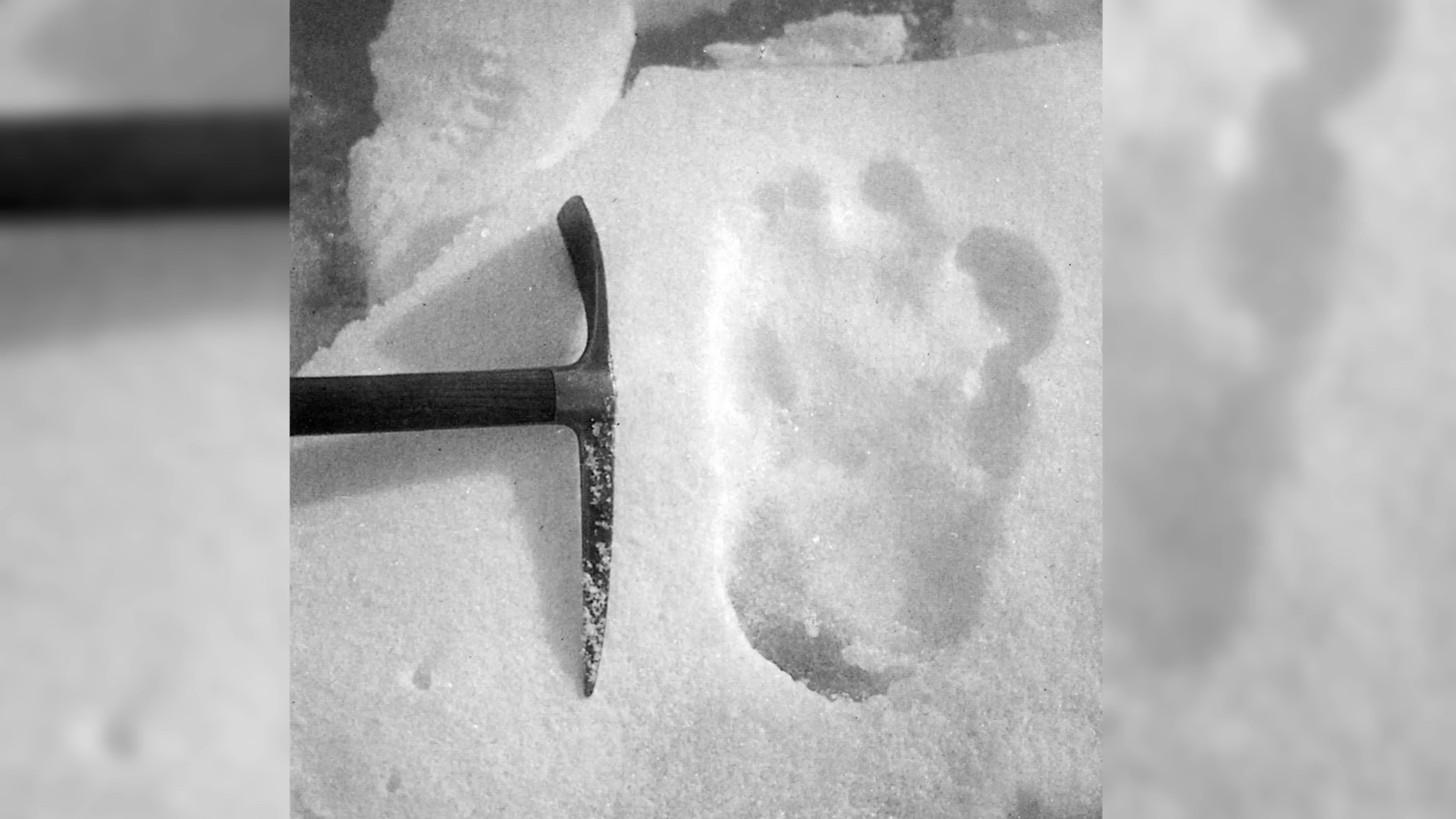 Climbers found a 13-inch footprint near Everest - then DNA pointed to ...