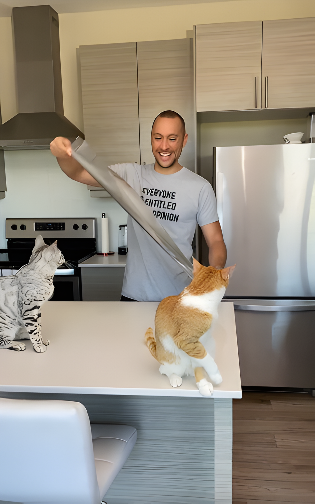 How to keep cats off kitchen counters with easy and effective training tips