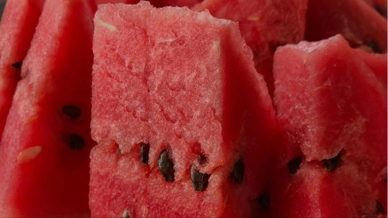 Chhattisgarh teen dies hours after eating watermelon, 4 others fall sick