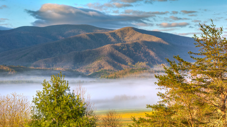 Hidden deep in Tennessee's Great Smoky Mountains is a cozy little town ...