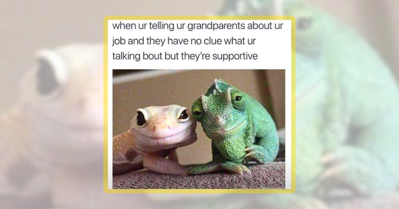 Scaly smiles: 22 lizard memes to warm your cold-blooded heart